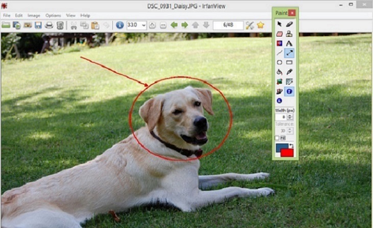 4 alternativas a Microsoft Paint gratuitas