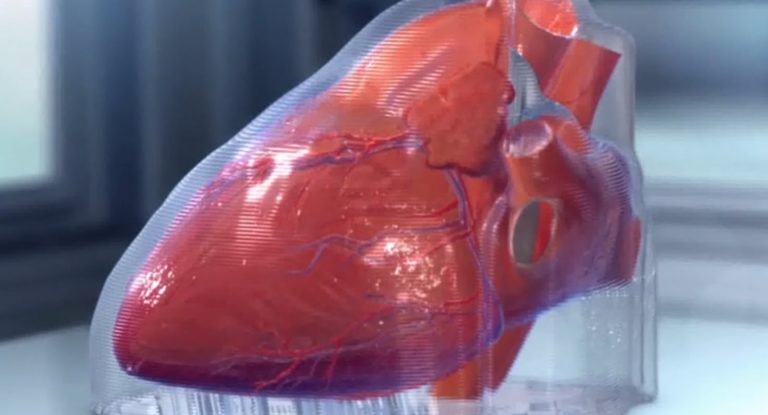 Han impreso en 3D un nuevo corazón humano en miniatura