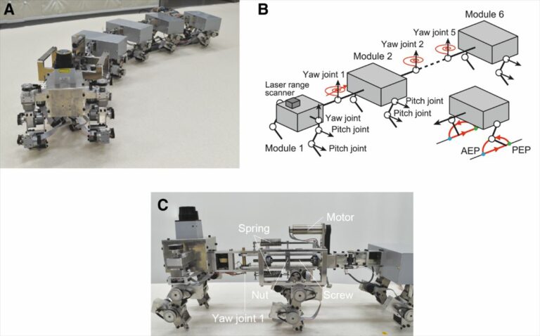 Nuevo robot inspirado en la naturaleza promete revolucionar la exploración y rescate en terrenos ...