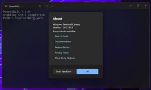 Windows Terminal Canary, para probar las cosas en el laboratorio de ...